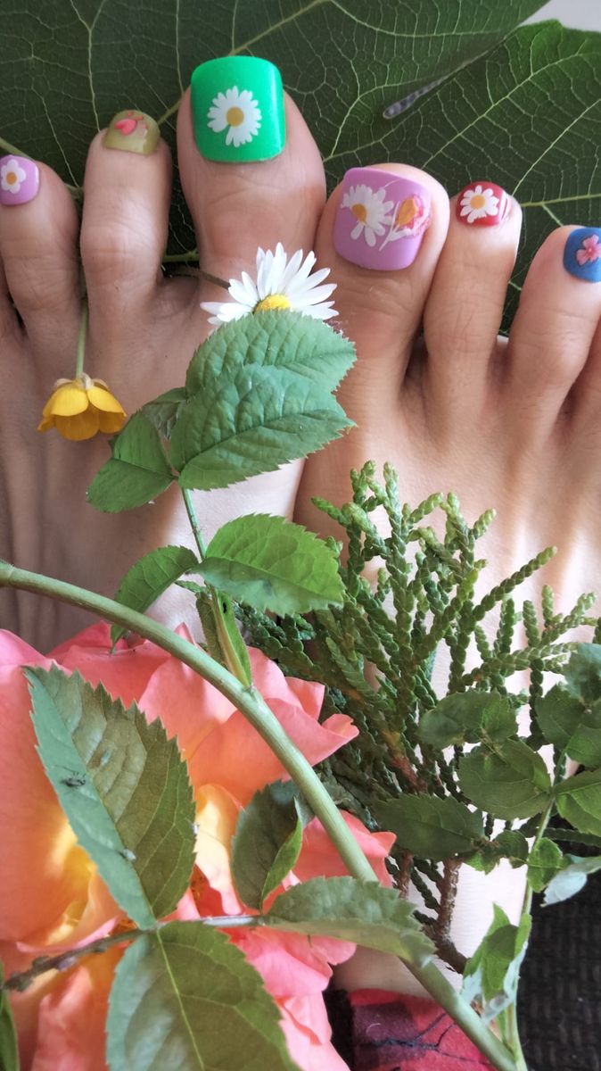 Pink-rainbow-flower ️ Live Cams | Skype, Teams, Discord & Telegram